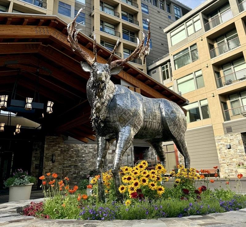 Artist finds inspiration in Colorado roots