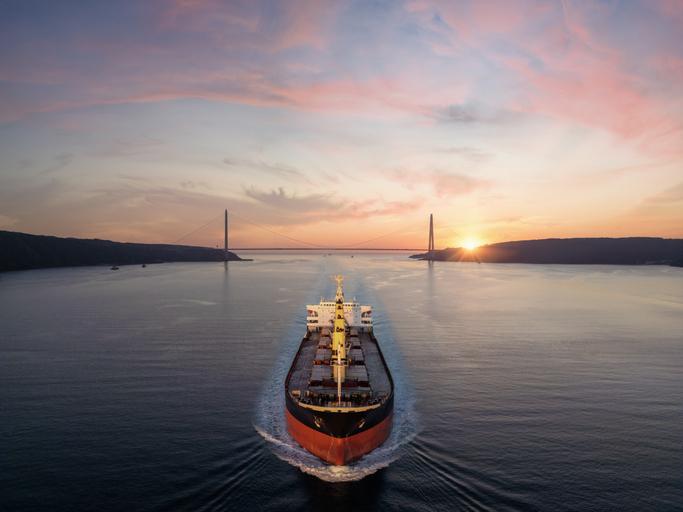 Buckle up for another ride on the tariff coaster