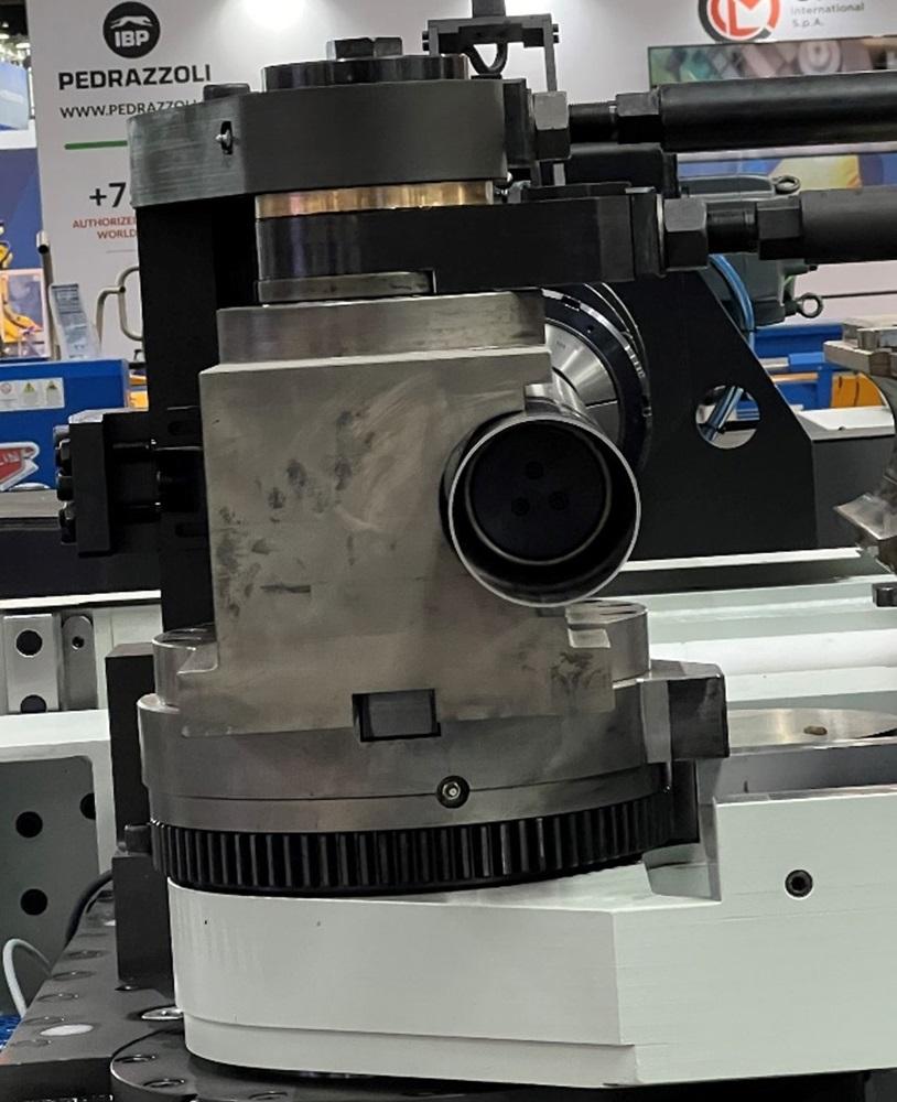 Descifrando el misterioso mandril