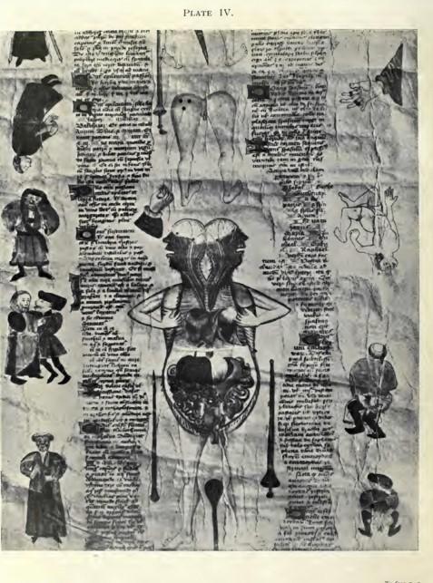 The secret (grim) life of fabrication words