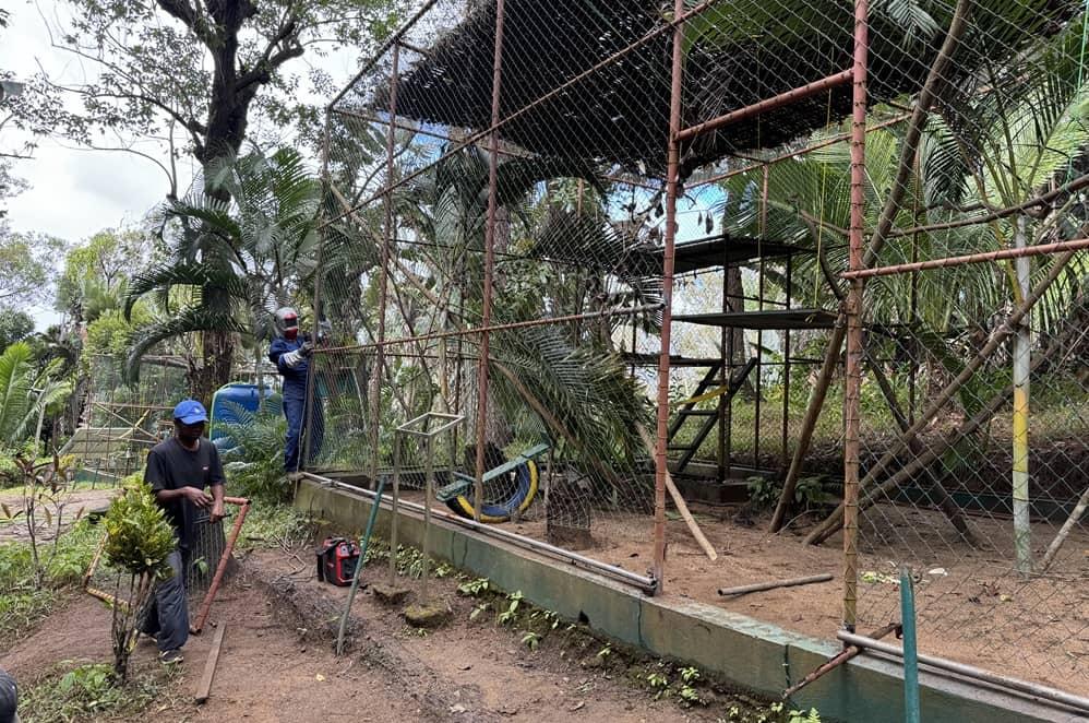 Welders at the Saint Louis Zoo provide facility maintenance at home and abroad